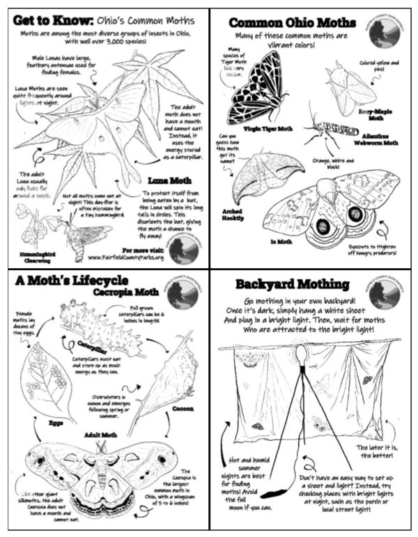 Nature Connection – Fairfield County Park District