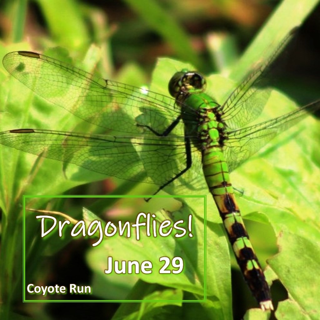 Events – Fairfield County Park District