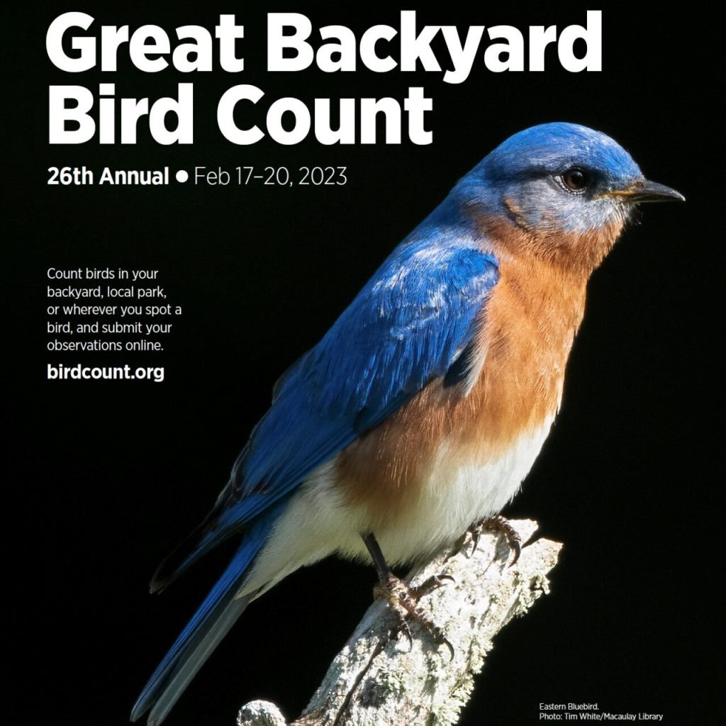 26th Annual GREAT BACKYARD BIRD COUNT – Fairfield County Park District