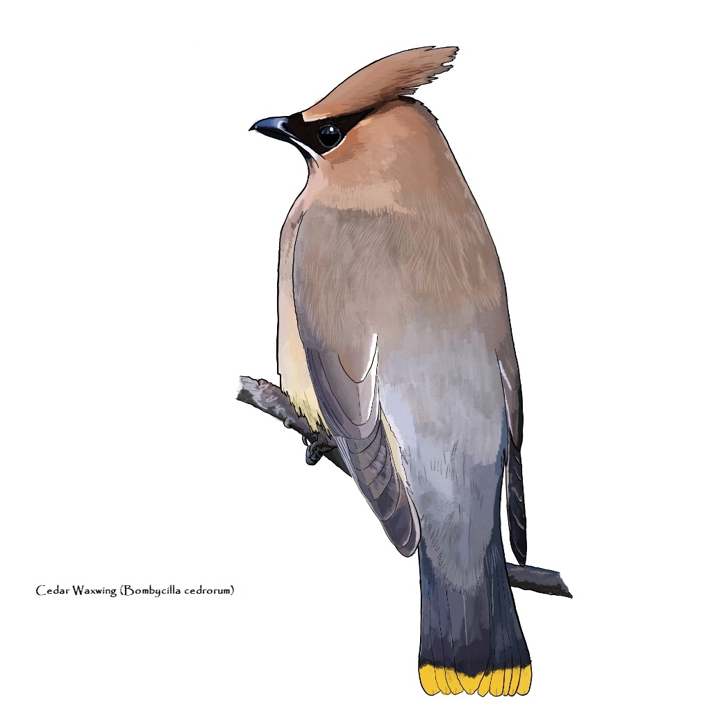 Events – Fairfield County Park District