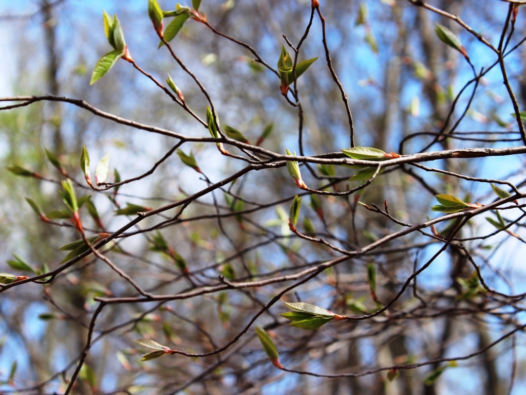 Events – Fairfield County Park District