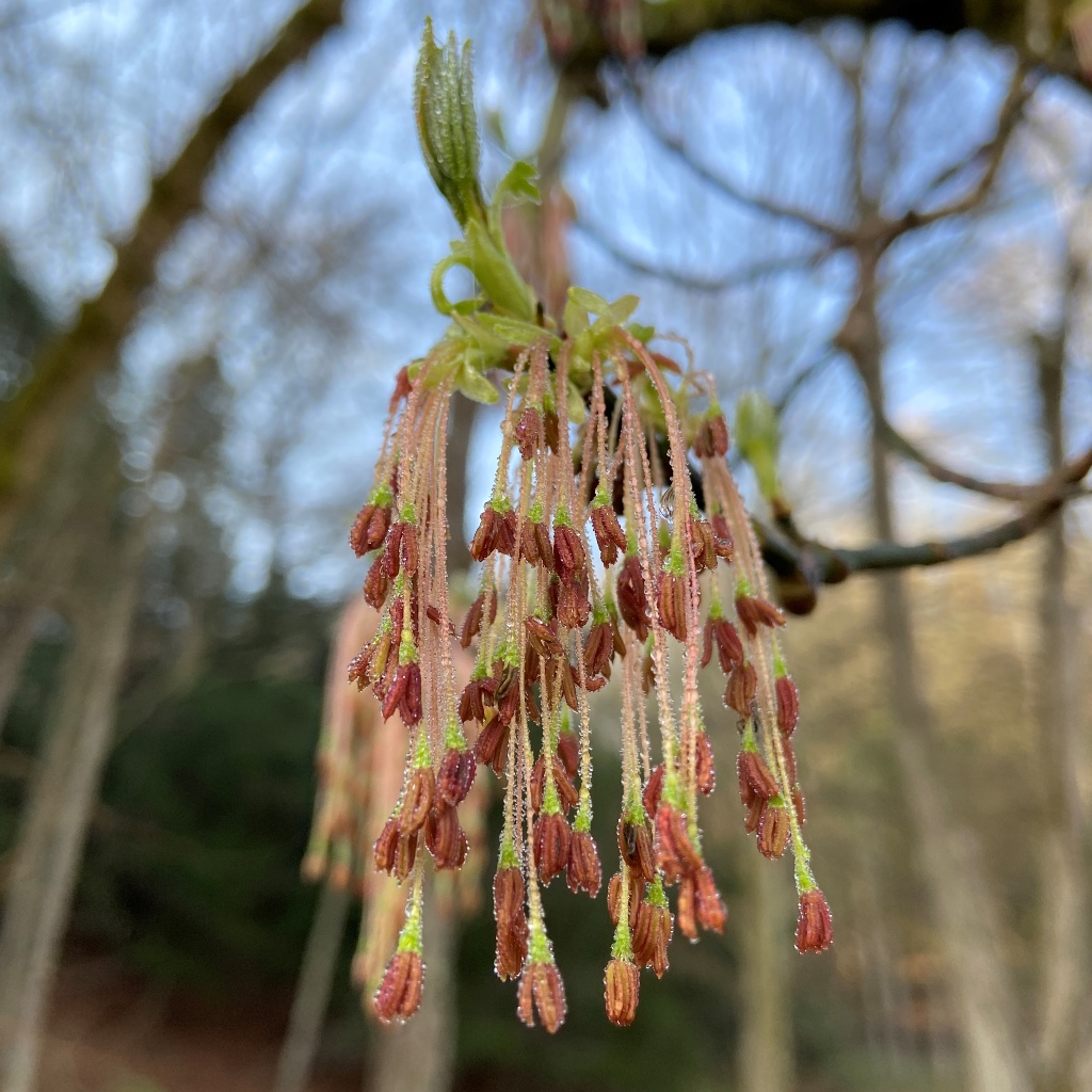 Events – Fairfield County Park District