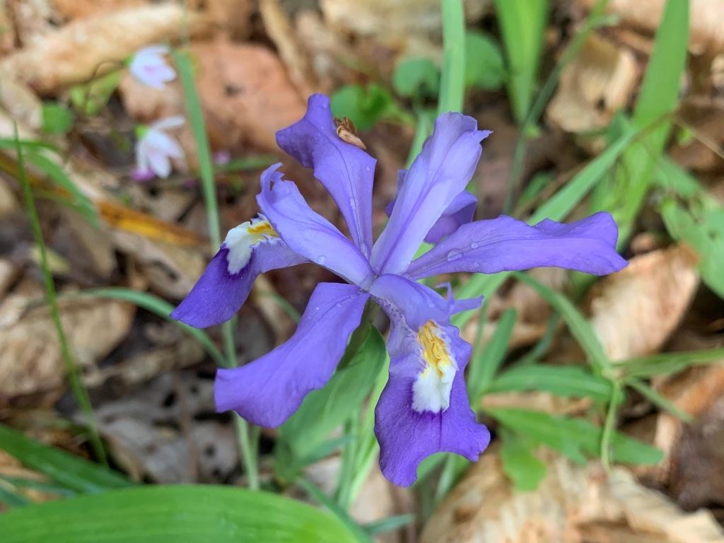 Events – Fairfield County Park District